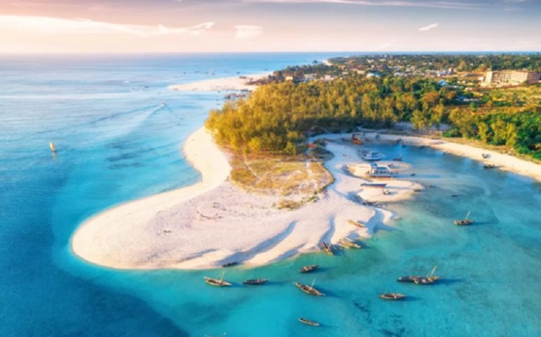 The Ultimate Tanzania Safari and Beach Holidays Guide - Fwd Net
