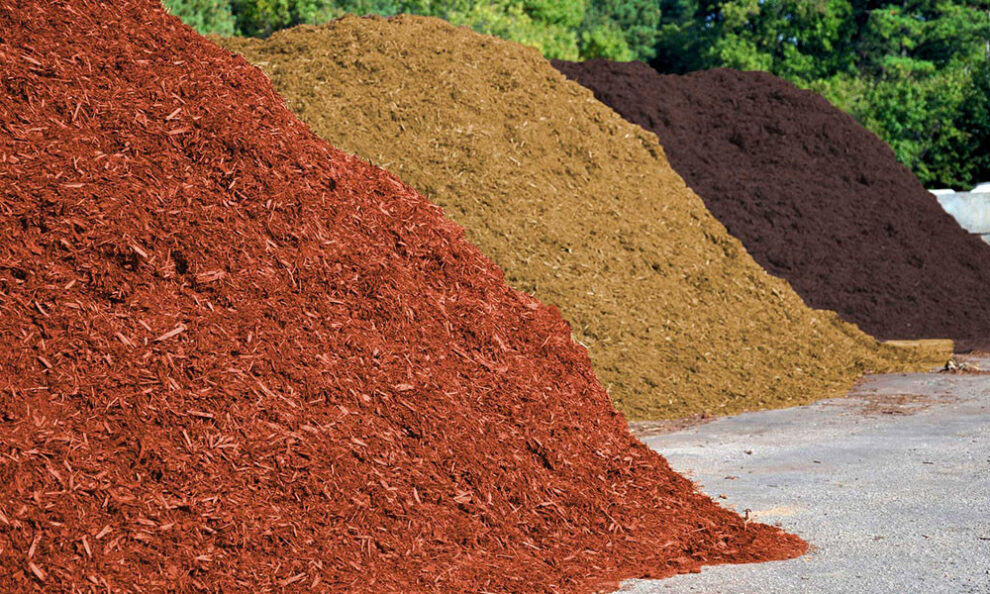 Different Types of Mulch | A Gardener’s Guide - Fwd Net